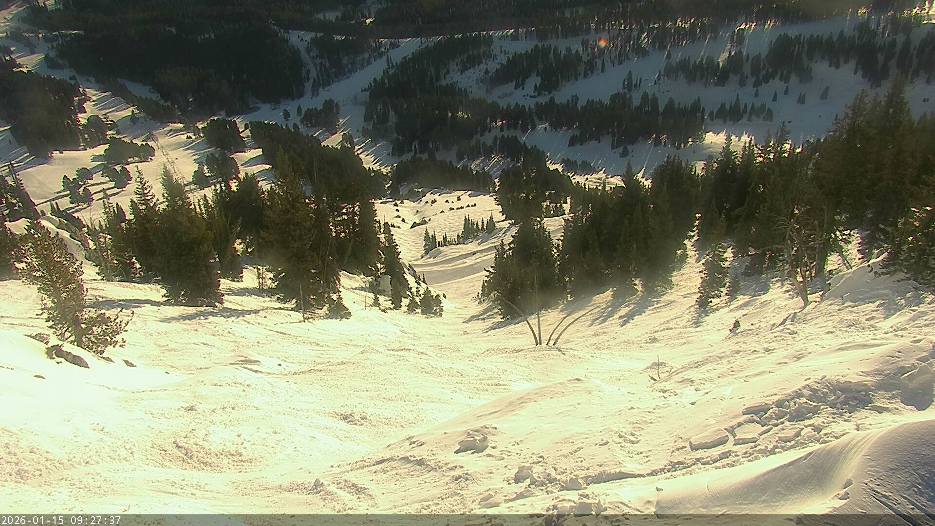 Webcams - Bridger Bowl Ski Area